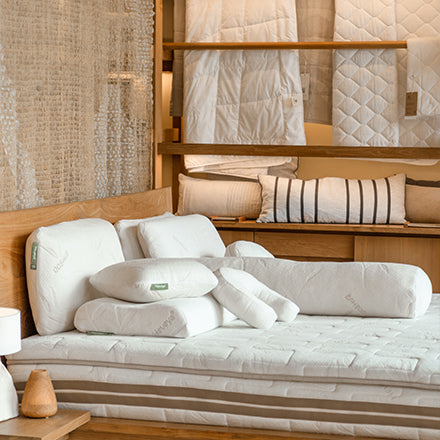 More Than Just Rest: The Surprising Benefits of Sleeping Early